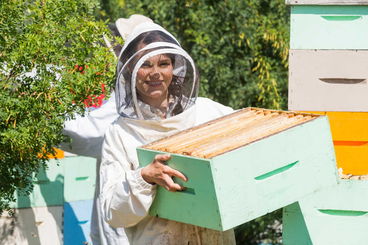 Beekeeper's Deals Bee Professor