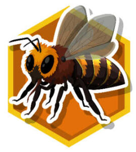 Lifecycle Of A Honey Bee - The 4 Phases Bee Professor