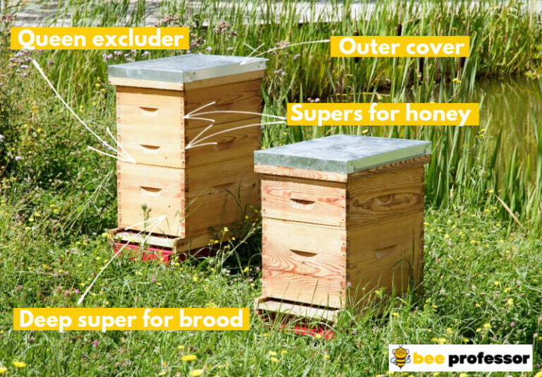 When To Add Honey Supers To A Beehive Bee Professor