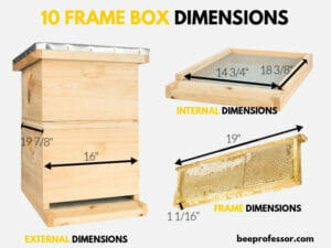 Langstroth Hive Dimensions - A Complete Guide Bee Professor