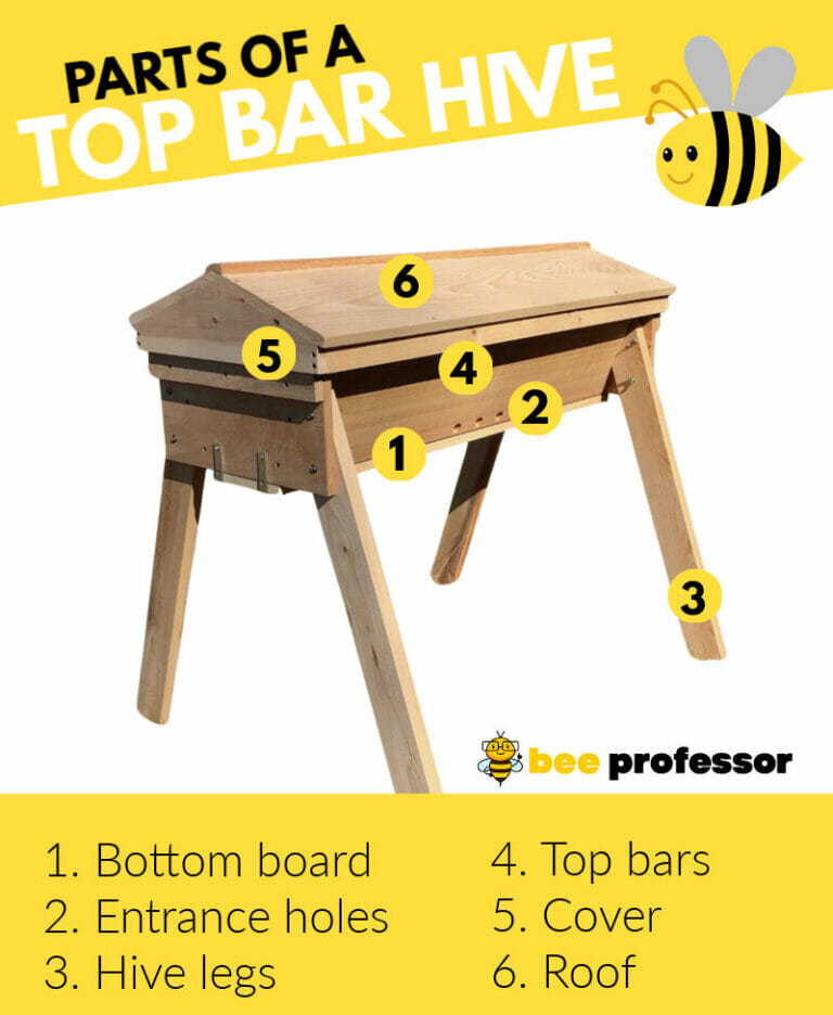 What Is A Top Bar Hive? A Beekeeper's Guide 2024 Bee Professor