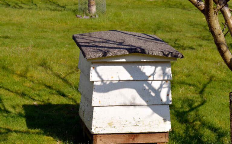 9 Types Of Beehives + Pros & Cons Bee Professor