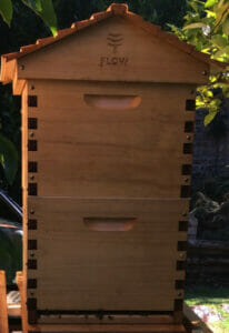 The Ultimate Guide To Flow Hives In 2024 Bee Professor