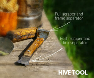 What Is A Hive Tool? An Essential Guide Bee Professor