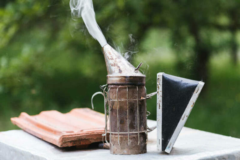 7 Best Bee Smokers For Beekeepers In 2024 Bee Professor