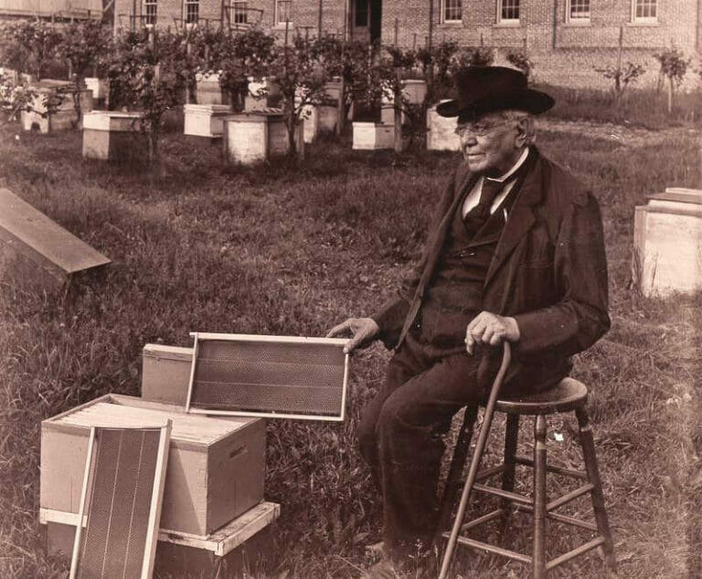 Who Was Lorenzo Langstroth? Fact File Of A Legend Bee Professor