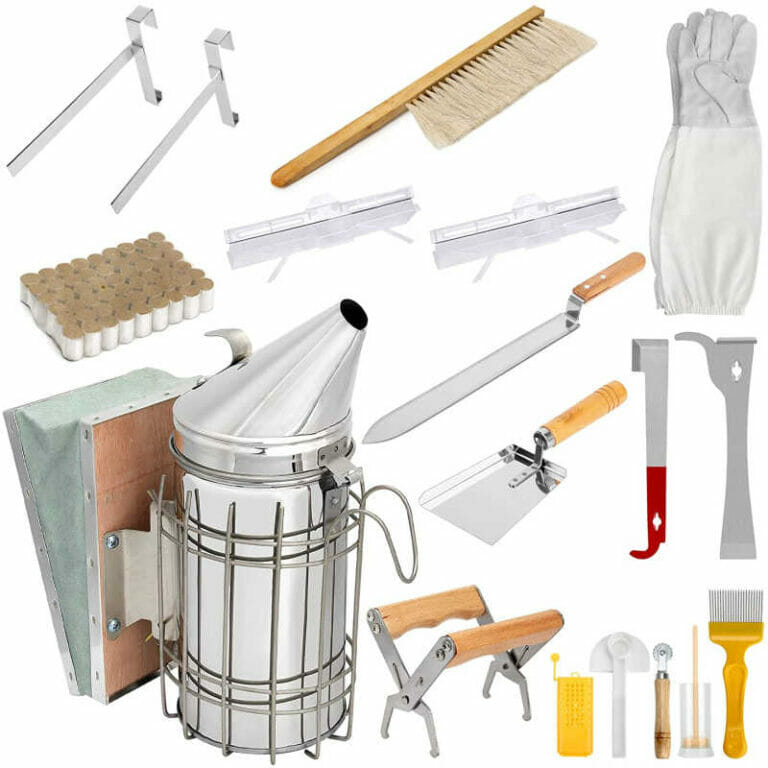 Best Beekeeping Starter Kits - Top Picks for 2024 Bee Professor