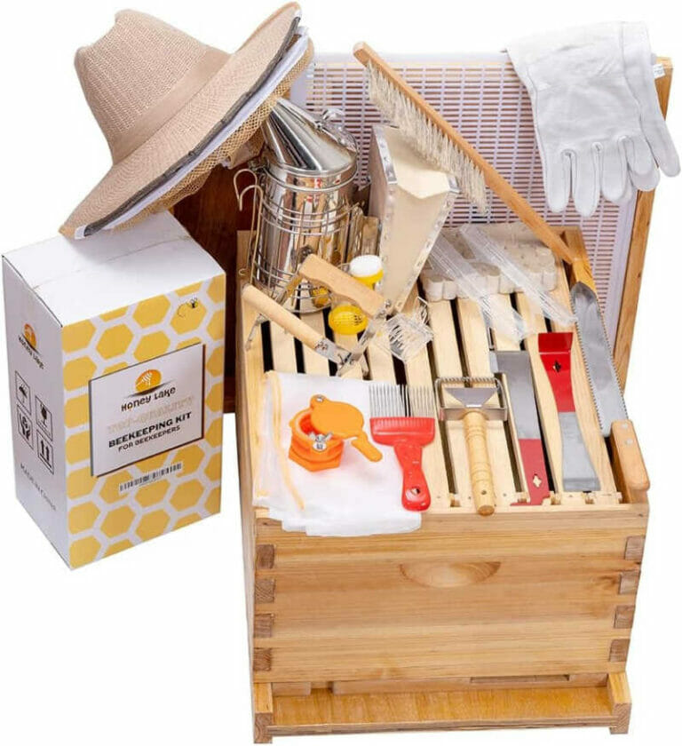 Best Beekeeping Starter Kits - Top Picks for 2024 Bee Professor