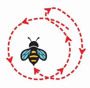 What Is The Waggle Dance? An Essential Guide Bee Professor