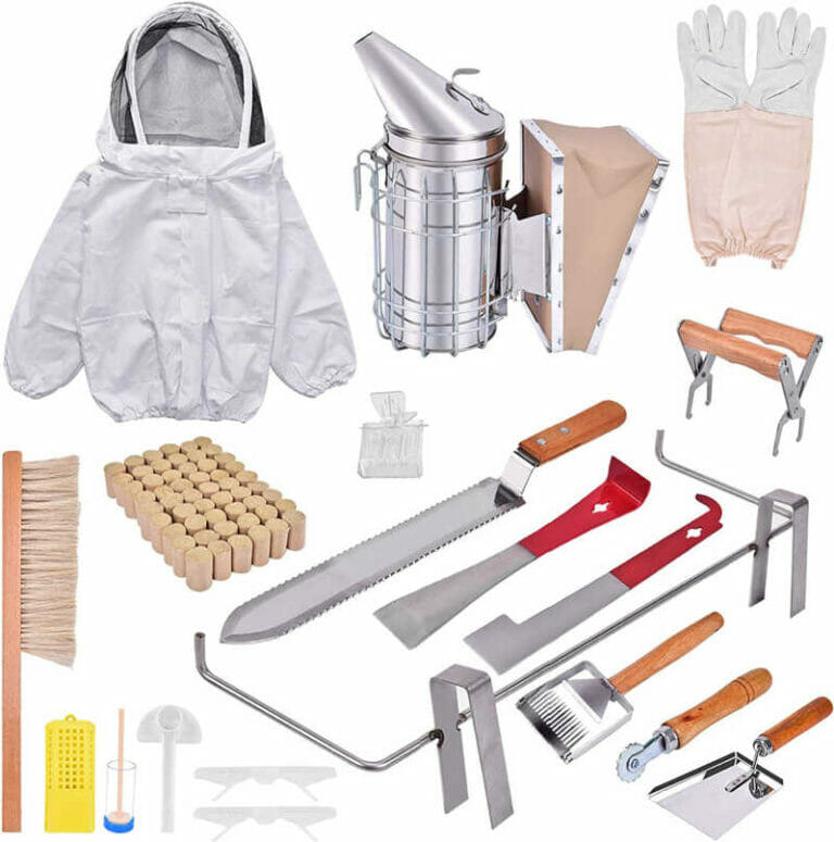 Best Beekeeping Starter Kits - Top Picks for 2024 Bee Professor
