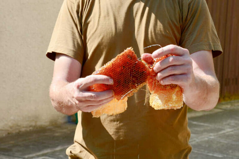 How To Crush And Strain Honey [8 Simple Steps] Bee Professor