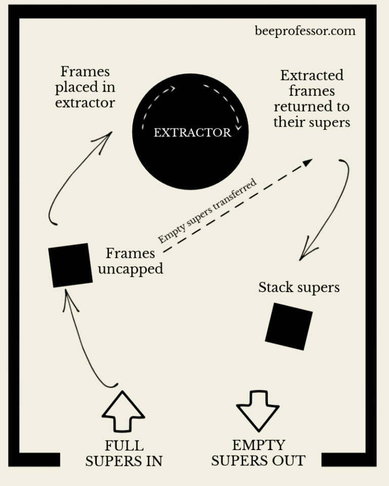 What Is A Honey House? An Essential Guide Bee Professor