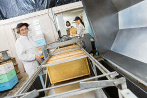 What Is A Honey House? An Essential Guide Bee Professor