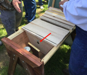 What Is A Top Bar Hive? A Beekeeper's Guide 2024 Bee Professor