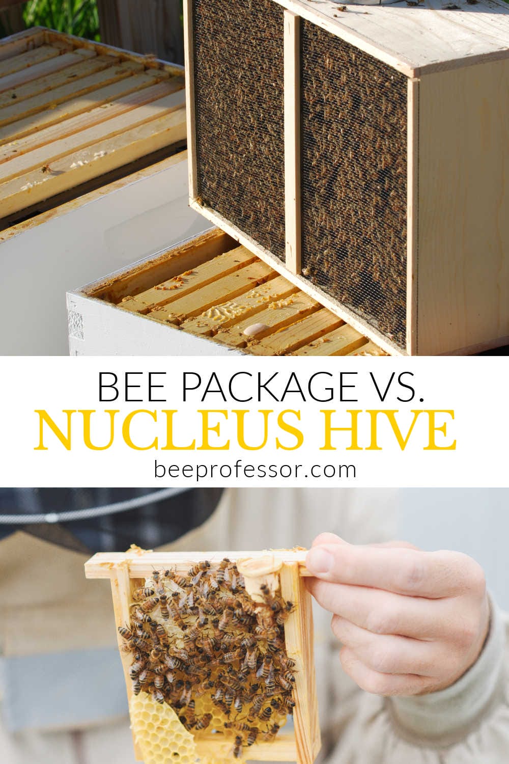 Bee Package Vs. Nucleus – Which Is Best For Newbie Beekeepers? Bee Professor