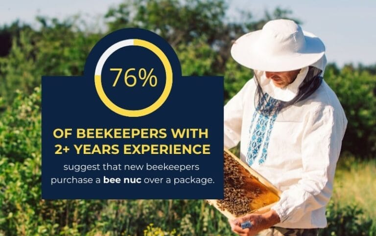 Bee Package Vs. Nucleus – Which Is Best For Newbie Beekeepers? Bee Professor